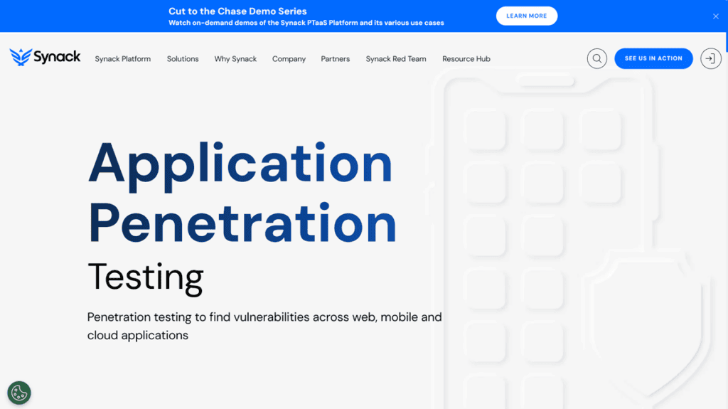 Top 10 Web App Penetration Testing Companies in 2025